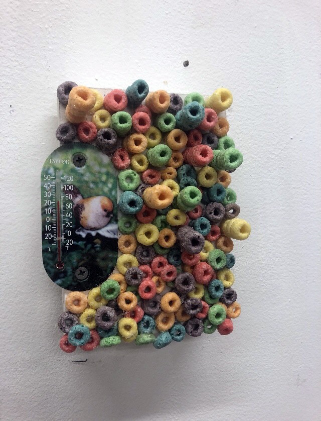 Hannah Beerman MFA Thesis | Hunter MFA in Studio Art